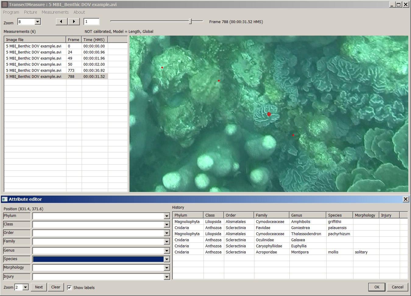 SeaGIS TransectMeasure